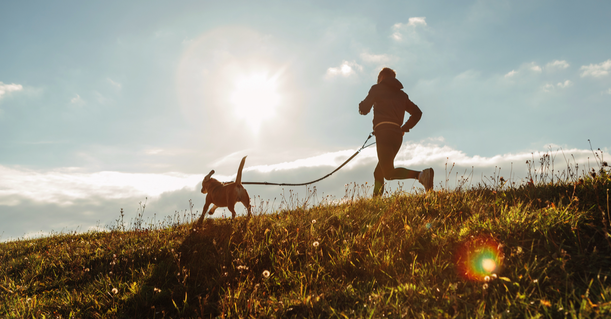 A More Sustainable World For People And Pets | Mars Global