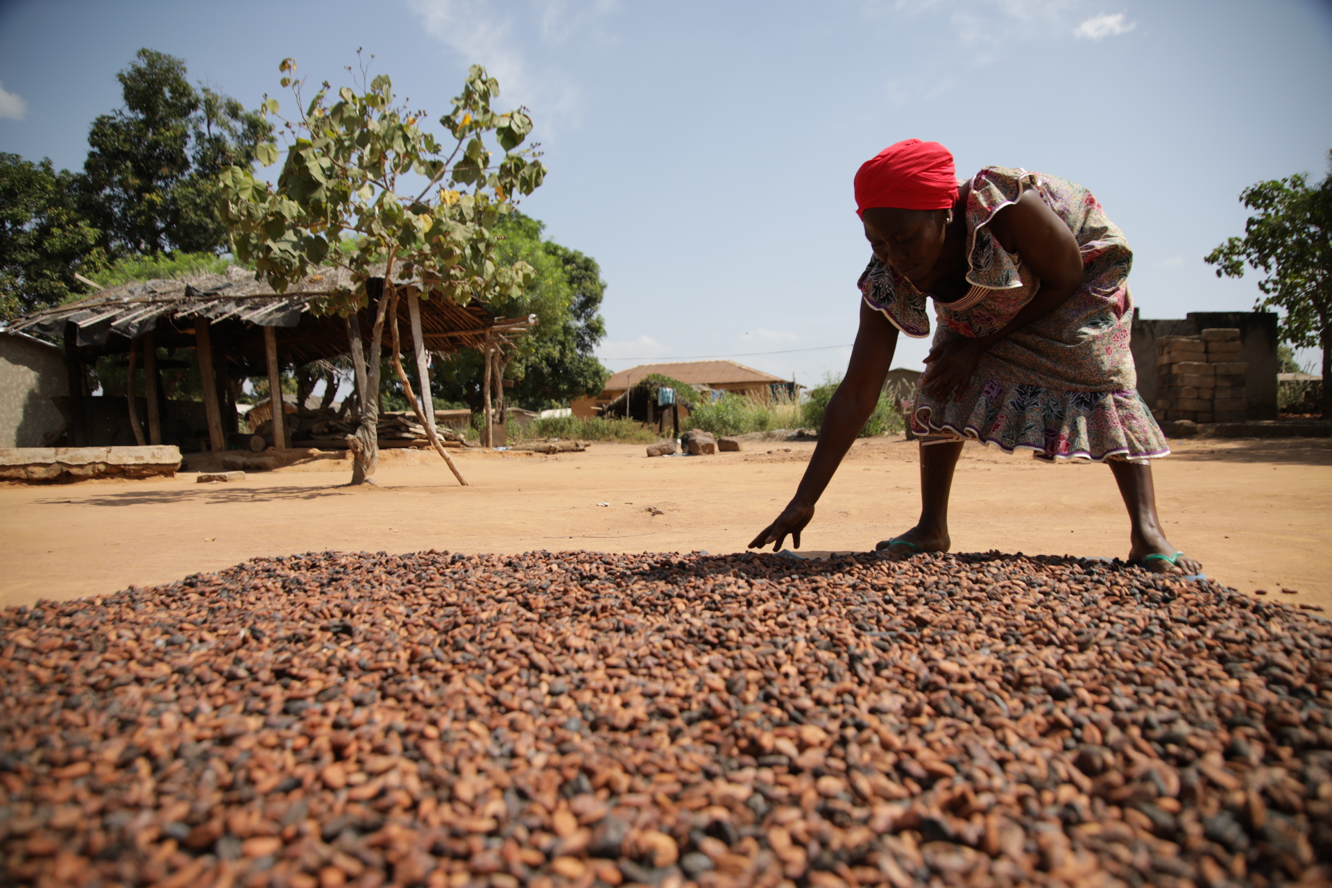 Mars, Incorporated supports 14,000 cocoa farmers on a path to a ...