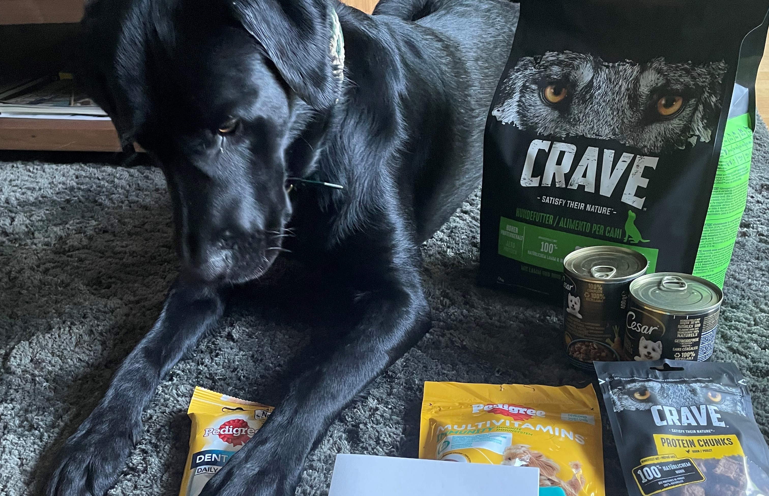 Mars Petcare Kundenbetreuung startet Social-Media-Aktion | Mars Deutschland