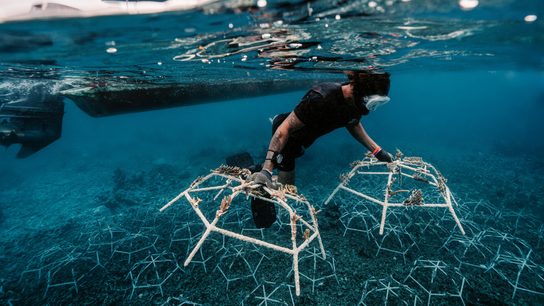 The Big Build: A history-making coral reef restoration event | Mars Global