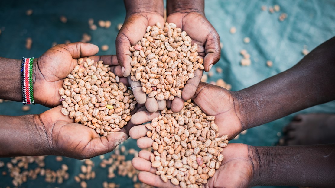 Mars and FAO extend partnership to help ensure Safe Food for All | Mars ...