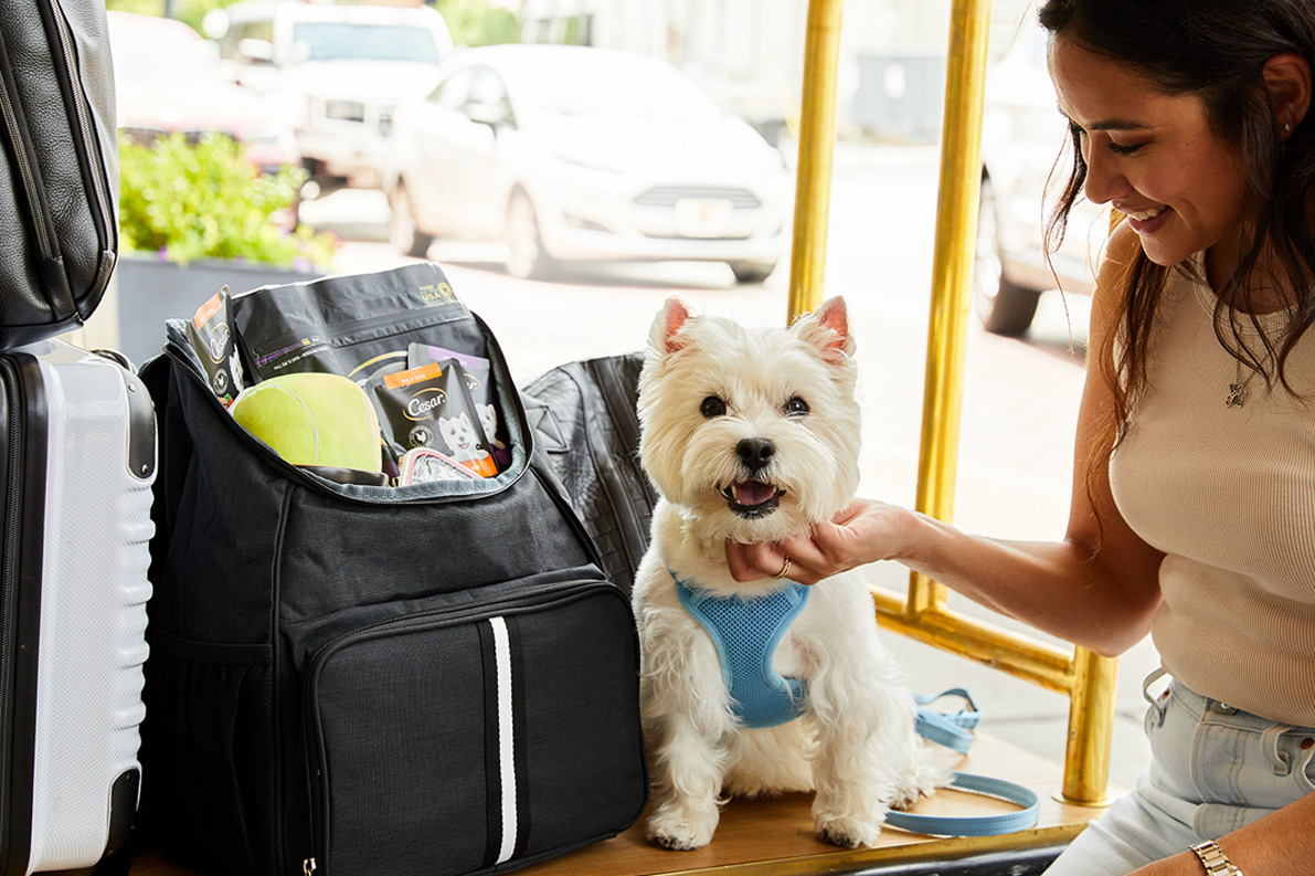 Mars announces partnership with Tripadvisor, connecting today's pet parents with better travel ...