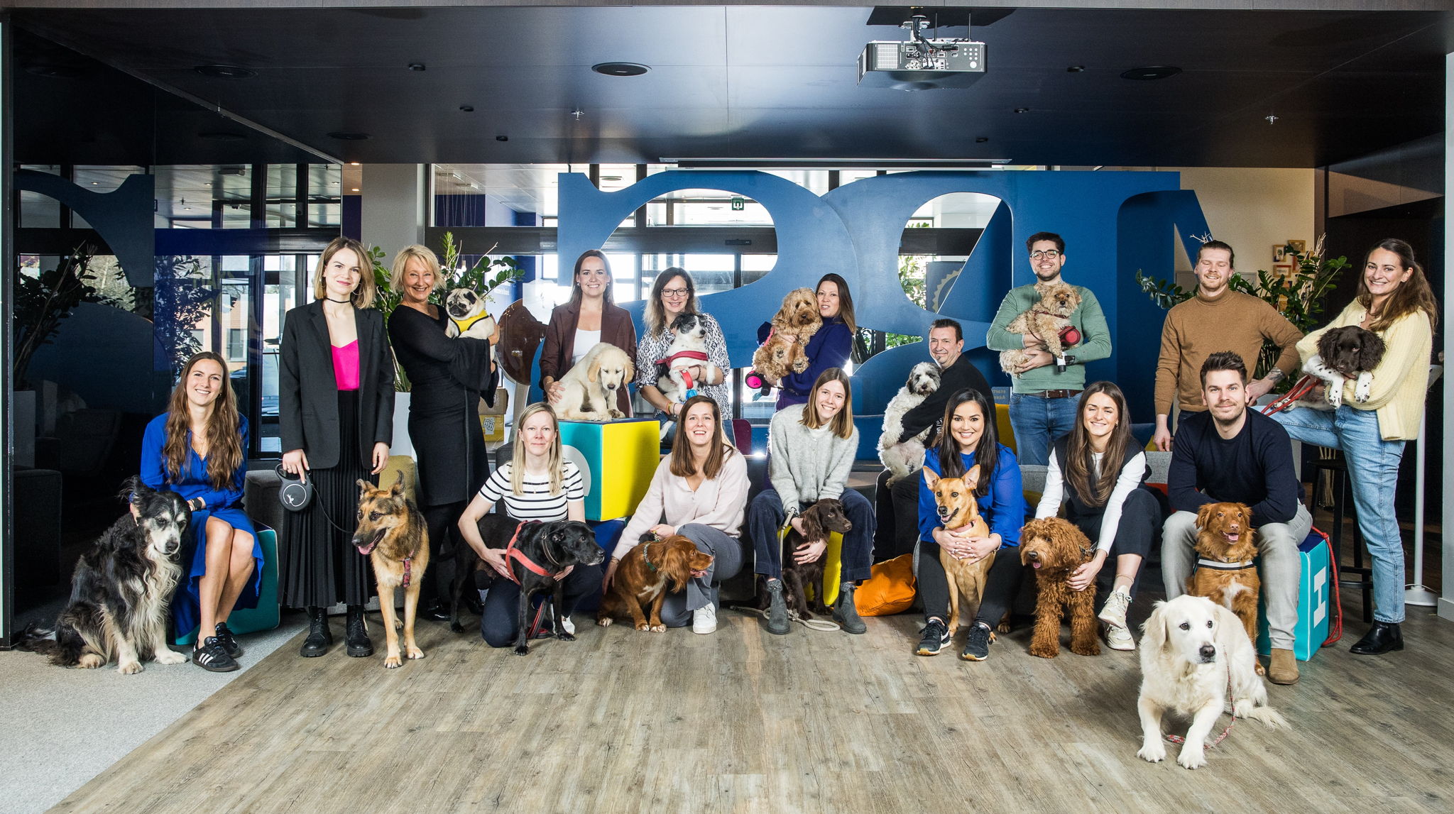 6 out of 10 Belgian office workers are less stressed when dogs are ...