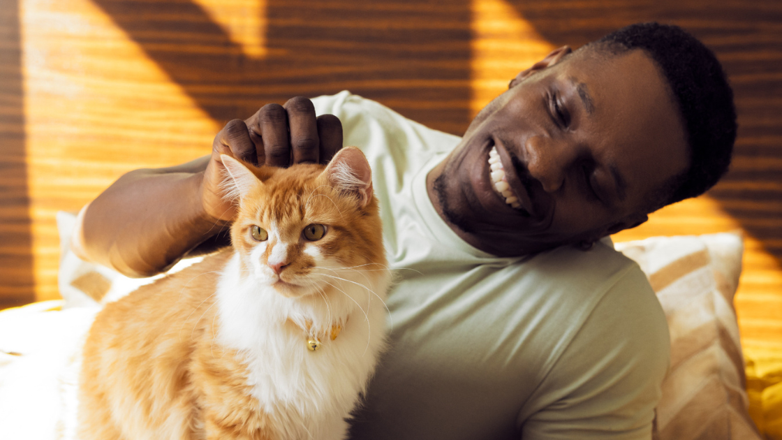 Mars unveils the world’s largest pet parent study to better understand ...