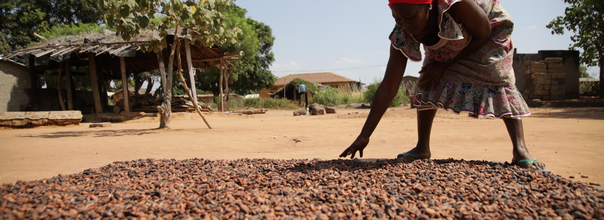 Mars steunt 14.000 cacaoboeren op weg naar een duurzaam inkomen | Mars ...