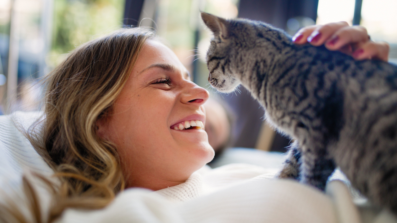 Mars launches landmark global study program on pets’ contribution to ...