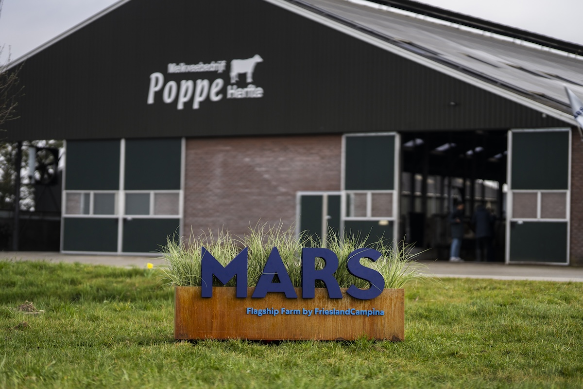 Moo’ving Dairy Forward with our Flagship Dairy Farm | Mars Global