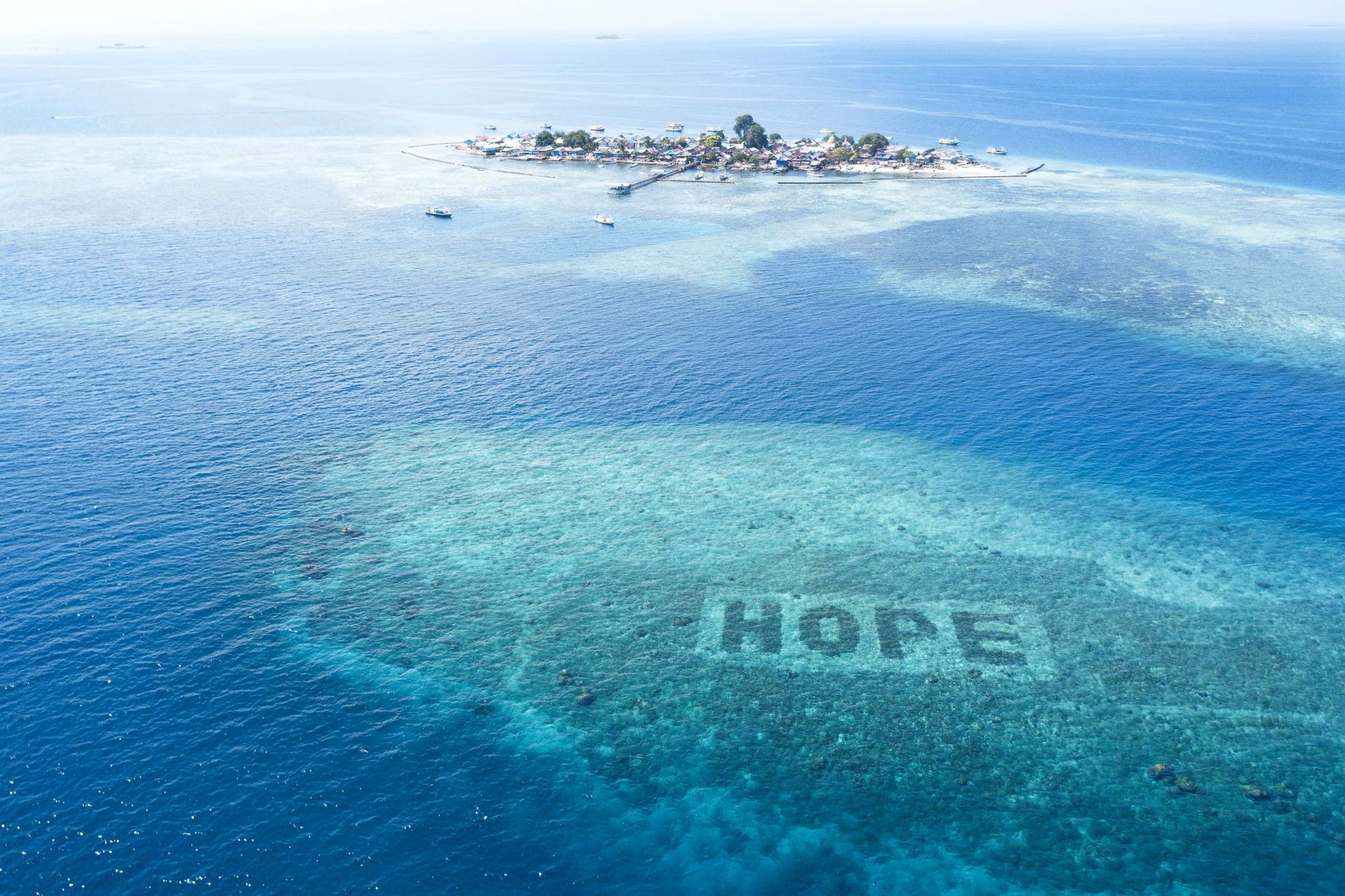 The Sheba Hope Grows™ program gives an inside look at coral restoration ...