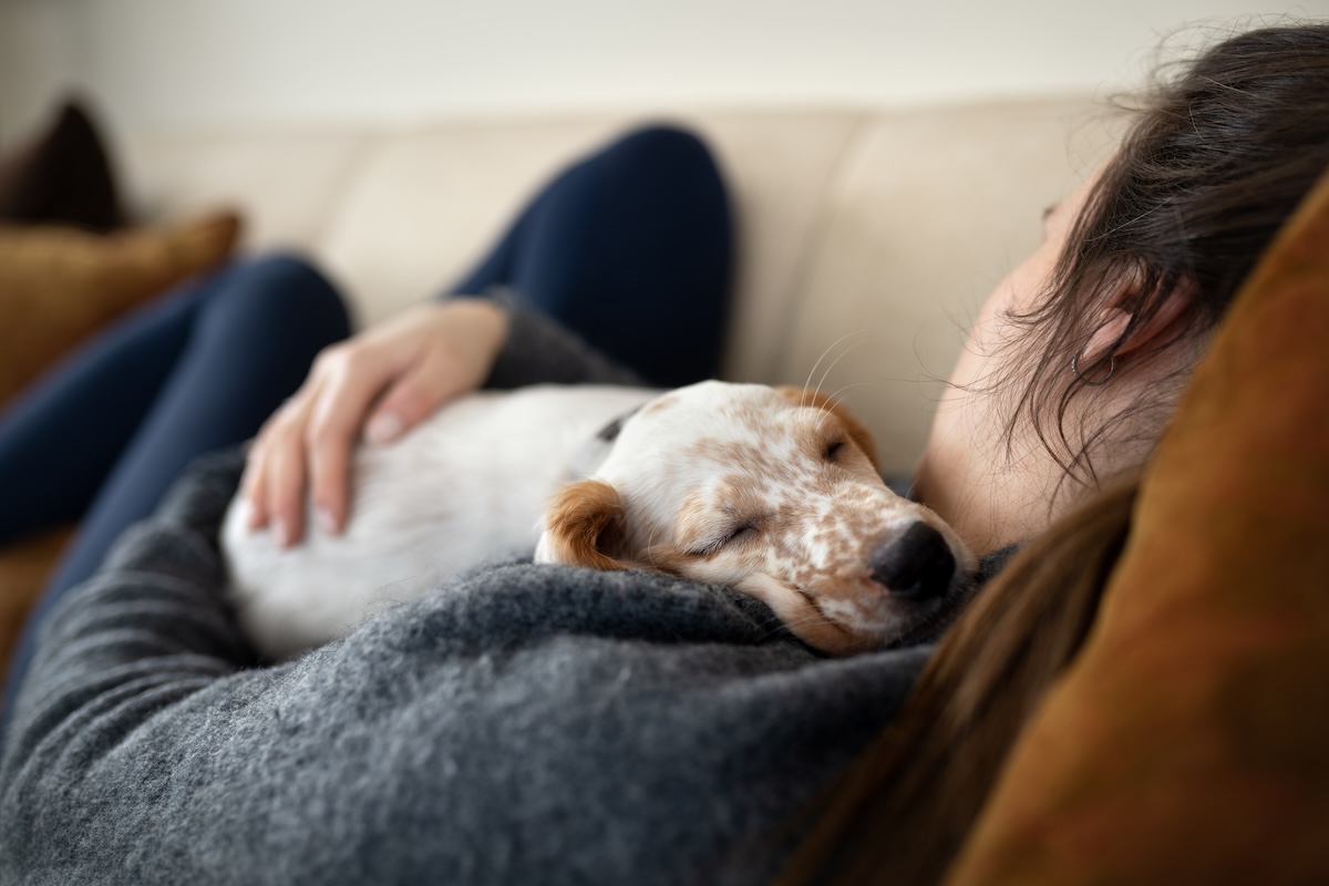 Paws over partners: people prefer to spend time with pets when stressed ...