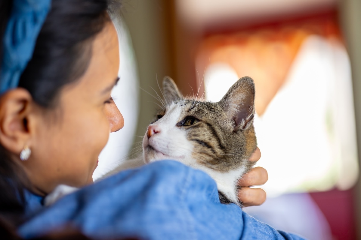 Mars and Calm team up to celebrate the wellbeing benefits of pets ...