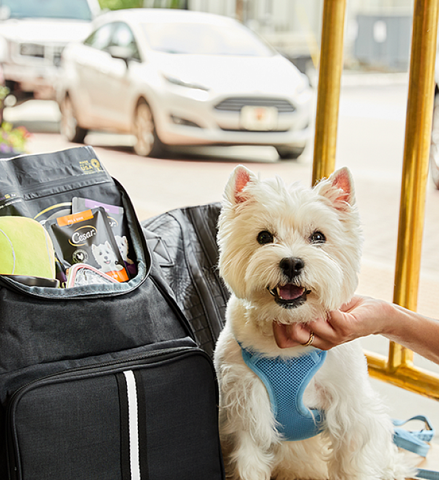 Global Petcare, Food & Nutrition, and Snacking Brands | Mars, Incorporated