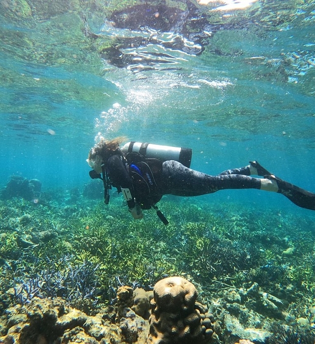 Global Petcare, Food & Nutrition, and Snacking Brands | Mars, Incorporated