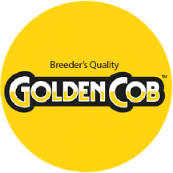 Meet our Brands, Products, and Services| Mars Australia