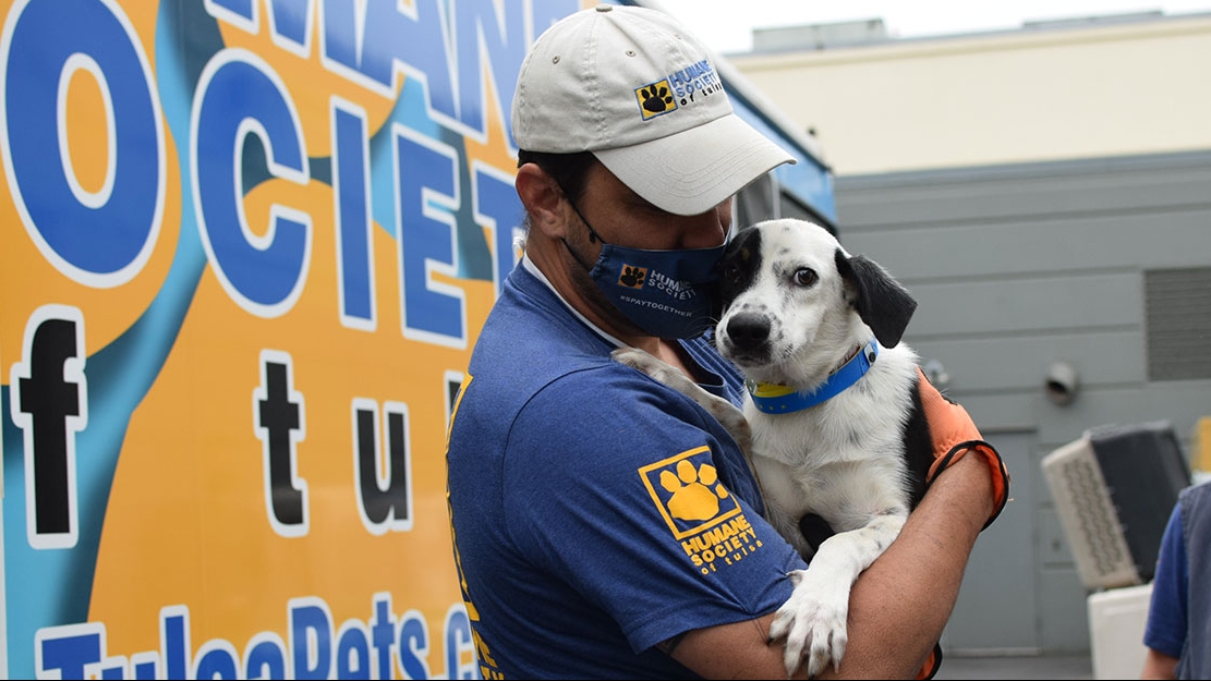 Supporting Communities to Help End Pet Homelessness | Mars Global