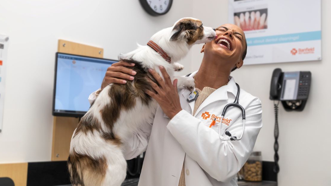 Mars launches world’s first pet biobank to drive breakthroughs in ...