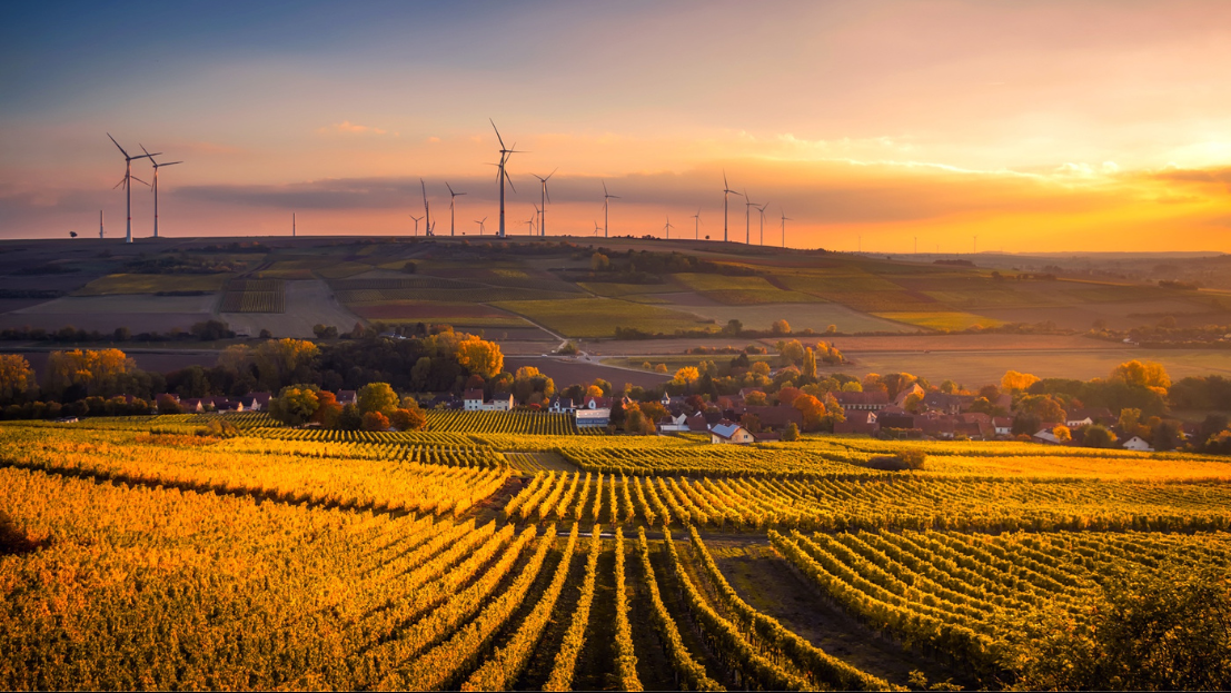 Mars partners with world’s leading food & farming businesses to launch ...