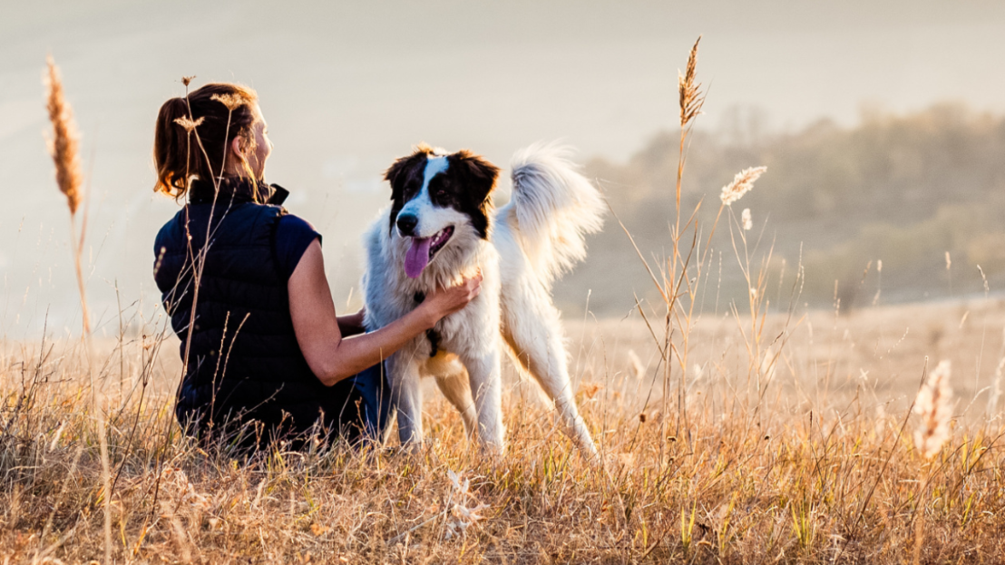 Mars and Digitalis Ventures launch $300m Fund to improve the lives of ...