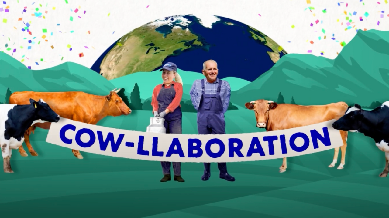 Our Approach to Sustainable Dairy Farming | Mars Global