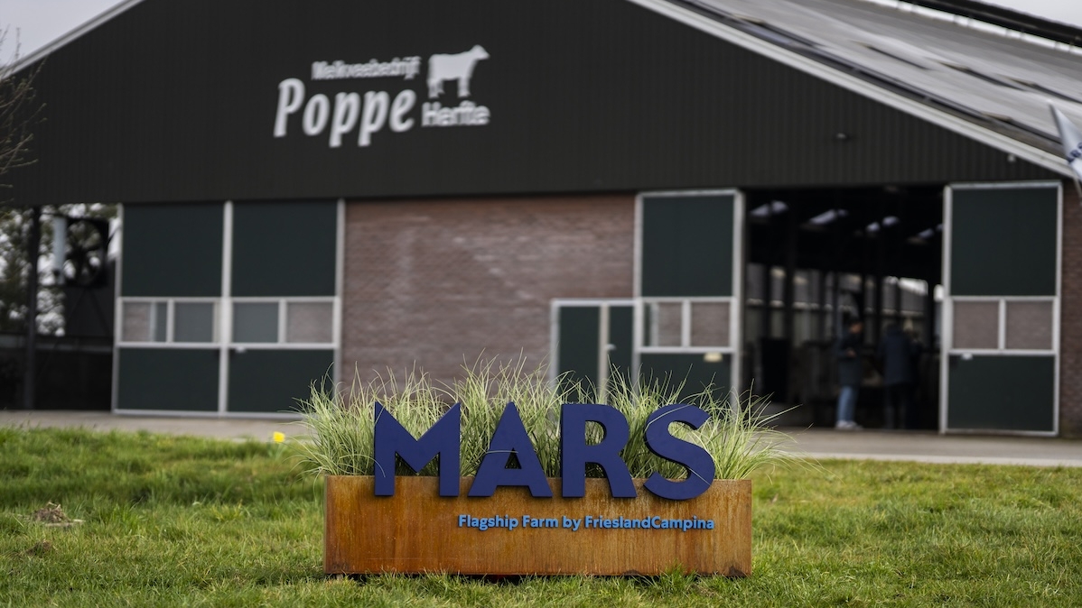 Moo’ving Dairy Forward with our Flagship Dairy Farm | Mars Global