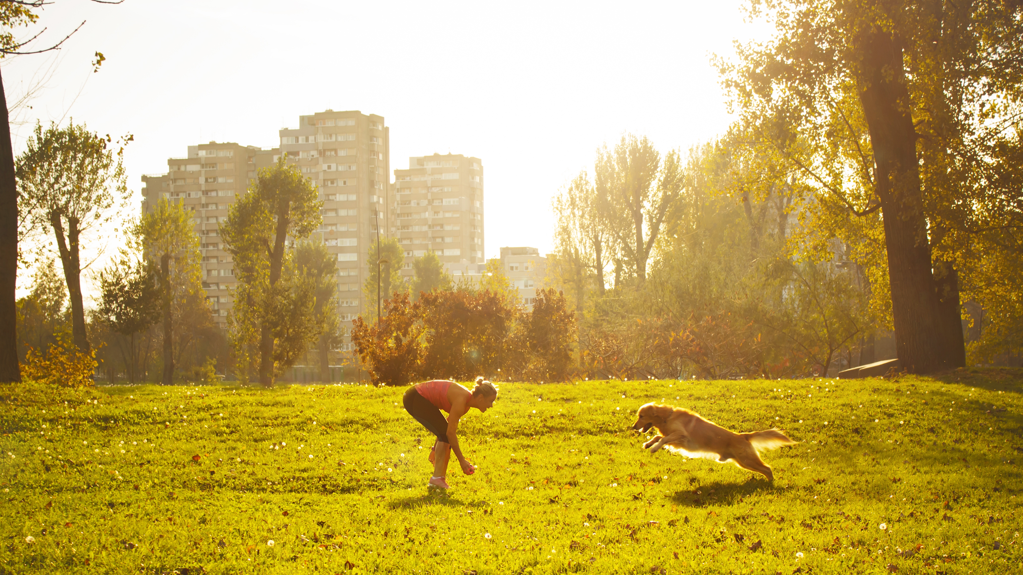 With just 40% of urban pet parents calling their neighborhoods pet ...