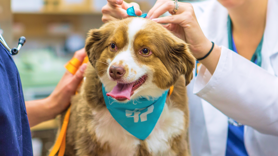 Mars : le A à Z des marques | Mars France