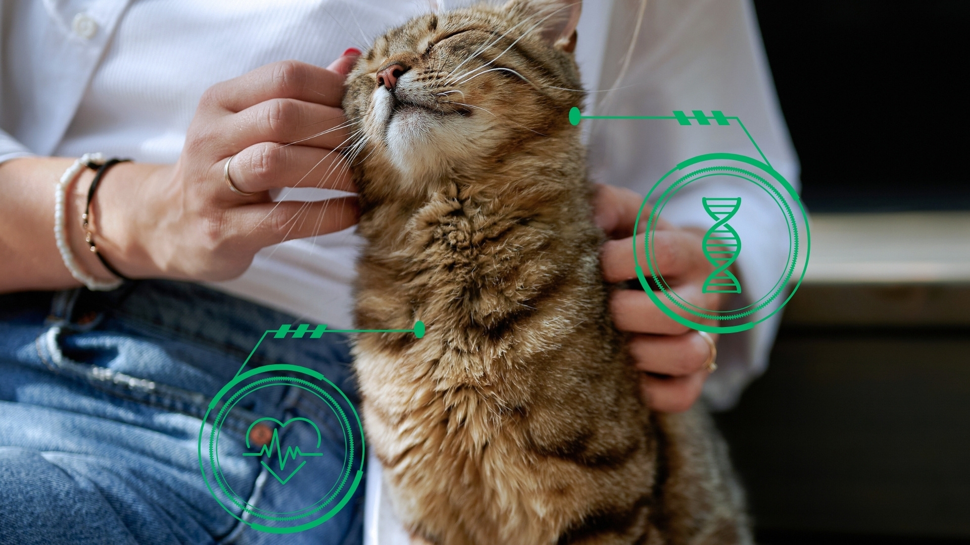 MARS PETCARE BIOBANK™: The future of pet science is here! | Mars Global