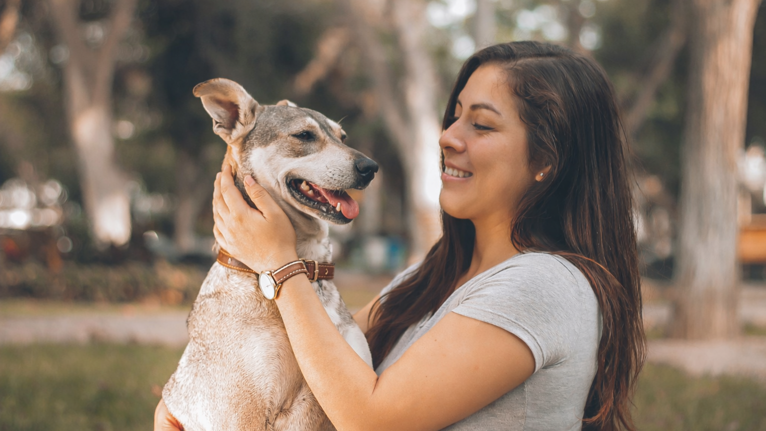 PEDIGREE Foundation calls on pet lovers nationwide to foster a pet this ...